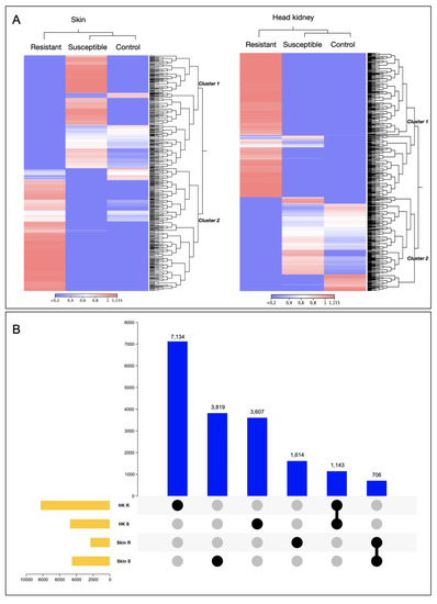Genes Free Full Text Transcriptome Signatures Of Atlantic Salmon