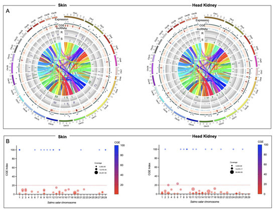 Transcriptome Signatures of Atlantic Salmon—Resistant Phenotypes ...