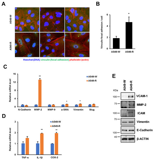 Metformin Resistance Is Associated with Expression of Inflammatory and ...