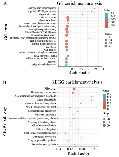 Metabolite Profiling and Transcriptome Analysis Explain the Difference in Accumulation of ...