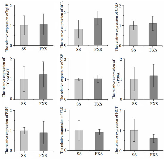 Metabolite Profiling and Transcriptome Analysis Explain the Difference in Accumulation of ...