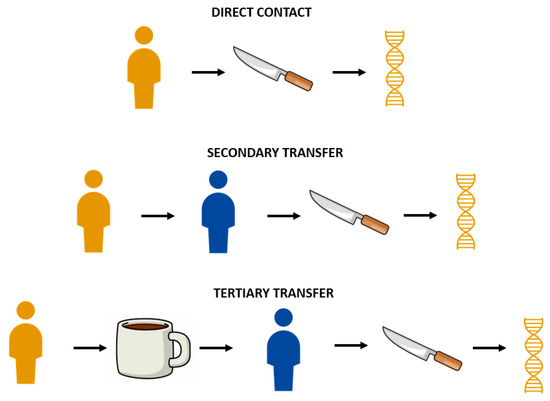 Preliminary Study: DNA Transfer and Persistence on Non-Porous Surfaces ...