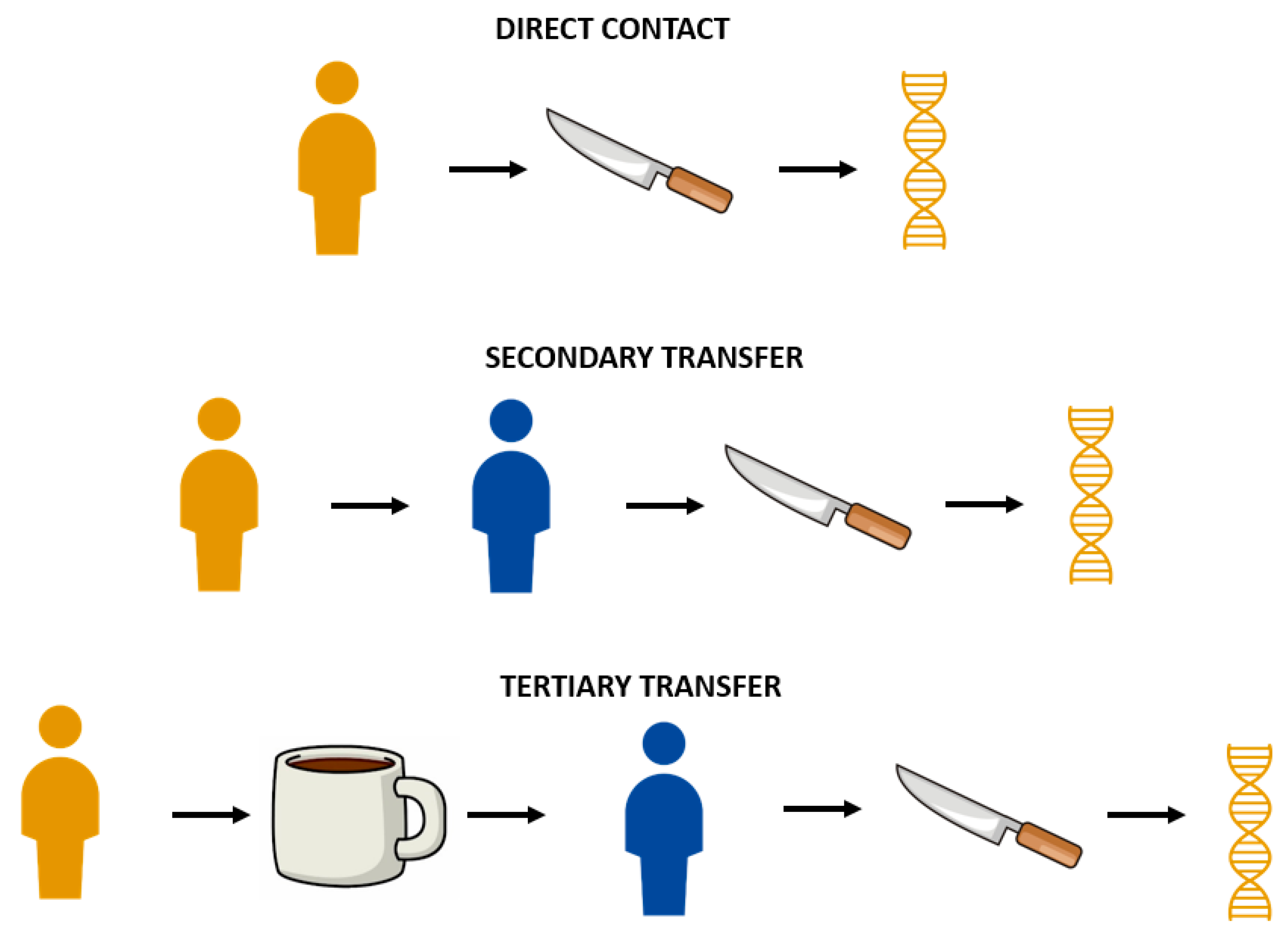 Preliminary Study: DNA Transfer and Persistence on Non-Porous Surfaces Submerged in Spring Water