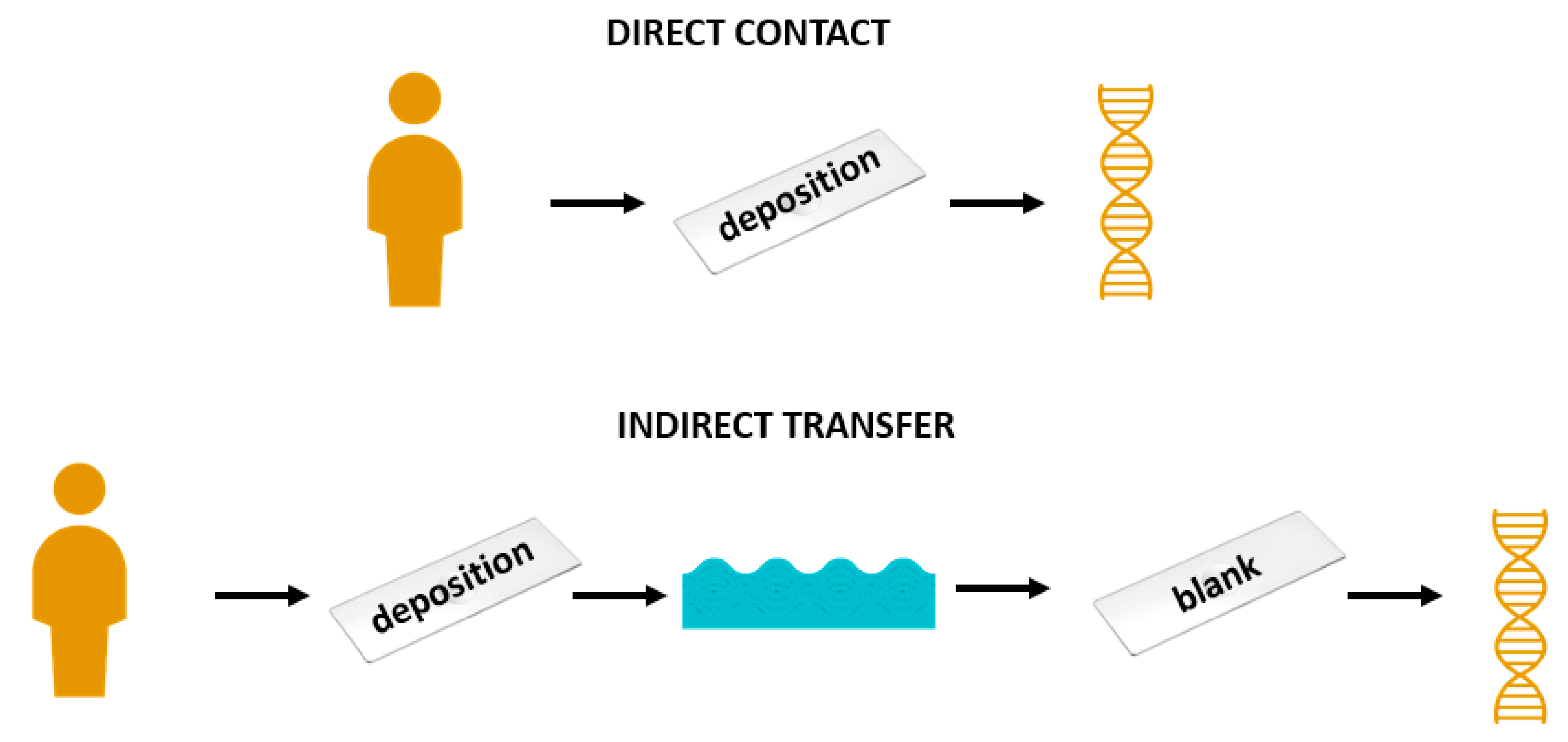 Preliminary Study: DNA Transfer and Persistence on Non-Porous Surfaces ...