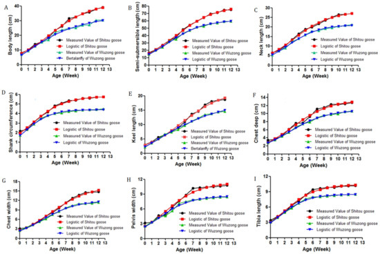 Comparative Transcriptome Analyses of Leg Muscle during Early Growth ...