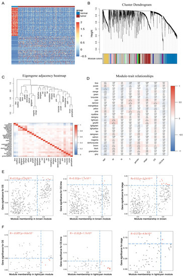 Developing CuS for Predicting Aggressiveness and Prognosis in Lung ...