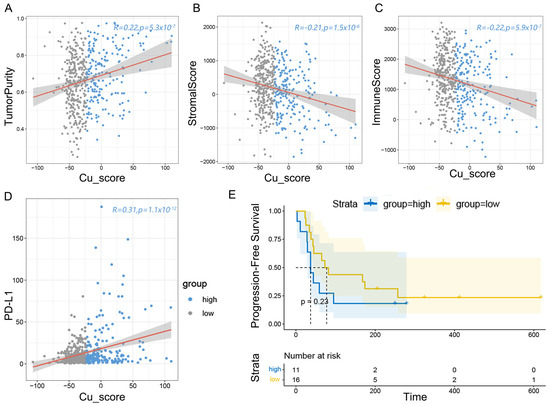 Developing CuS for Predicting Aggressiveness and Prognosis in Lung ...