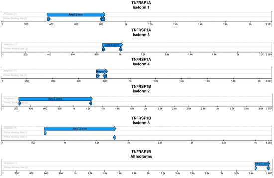 TNFα Causes a Shift in Gene Expression of TNFRSF1A and TNFRSF1B Isoforms