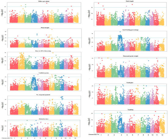 Genome-Wide Association Mapping for Yield and Yield-Related Traits in Rice (Oryza Sativa L ...