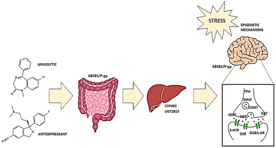 The Role of Pharmacogenetics in Personalizing the Antidepressant and ...
