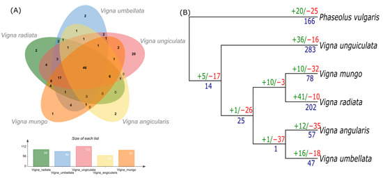 Investigation of Resistance Genes in Genus Vigna Reveals Highly ...