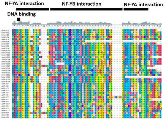 Genome-Wide Identification, Characterization and Expression Analysis of Plant Nuclear Factor (NF ...
