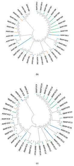 Genome-Wide Identification, Characterization and Expression Analysis of Plant Nuclear Factor (NF ...
