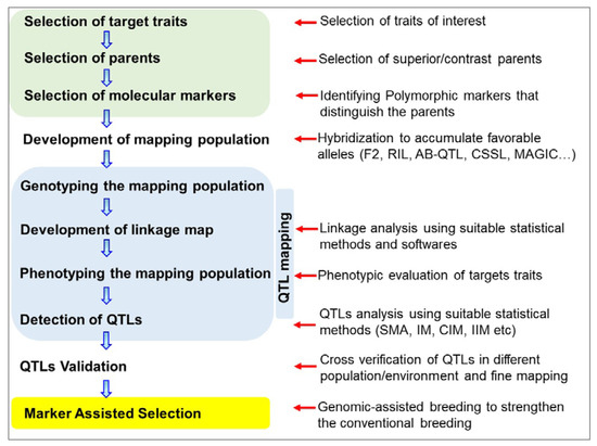 An Overview of Mapping Quantitative Trait Loci in Peanut (Arachis ...