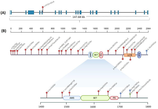 Clinical Heterogeneity and Different Phenotypes in Patients with SETD2 ...