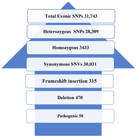 Association between Aldosterone Synthase (CYP11B2) Gene Polymorphism ...