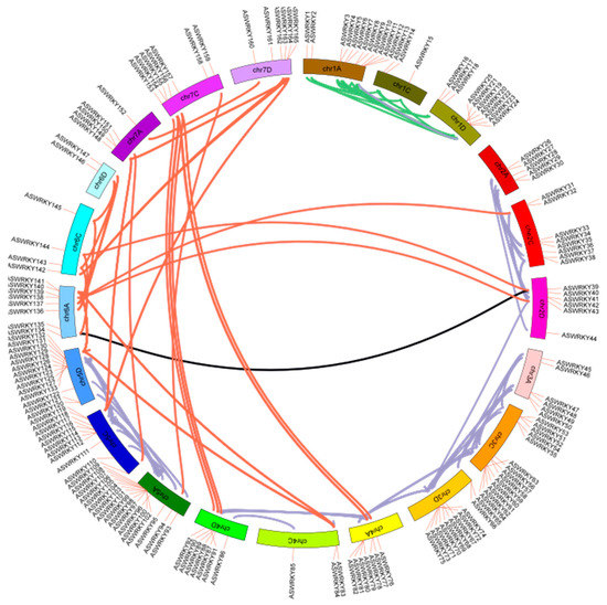 Genome-Wide Identification of NAC Gene Family and Expression Analysis ...
