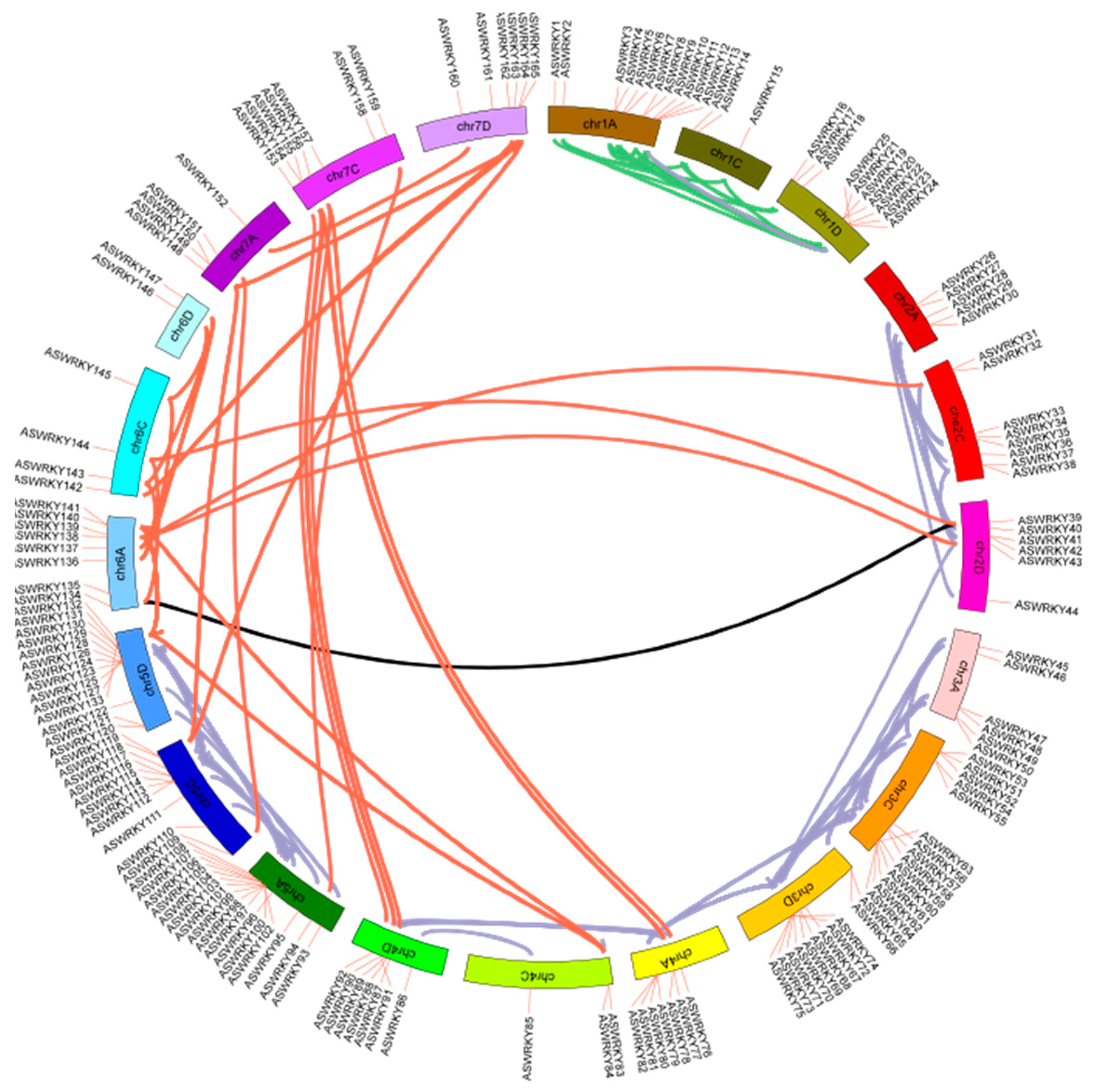 Genome-Wide Identification of NAC Gene Family and Expression Analysis ...