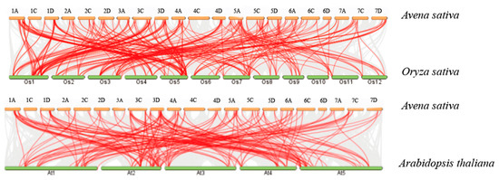 Genome-Wide Identification of NAC Gene Family and Expression Analysis ...
