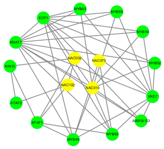 Genome-Wide Identification of NAC Gene Family and Expression Analysis ...