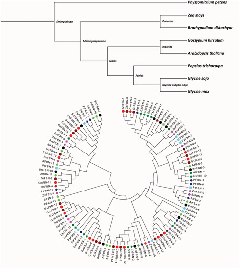 Genome-Wide Characterization and Sequence Polymorphism Analyses of ...