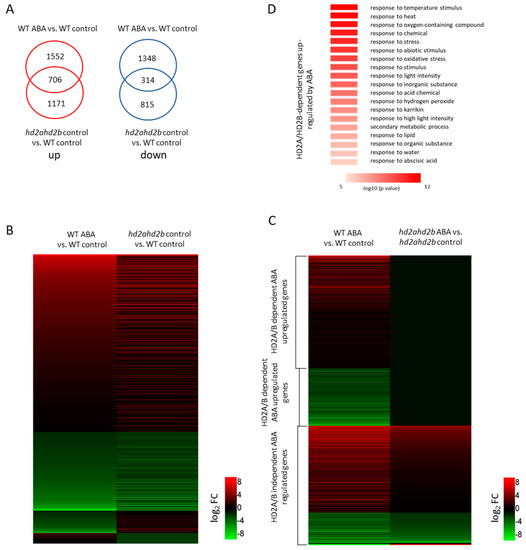 Histone Deacetylases HD2A and HD2B Undergo Feedback Regulation by ABA ...