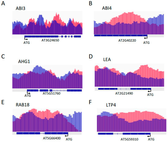 Histone Deacetylases HD2A and HD2B Undergo Feedback Regulation by ABA ...