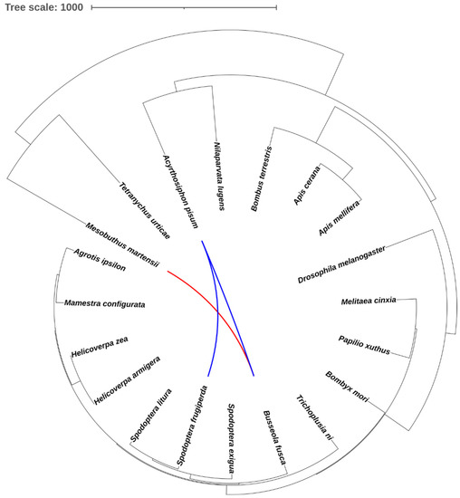Transposable Elements Shape the Genome Diversity and the Evolution of ...