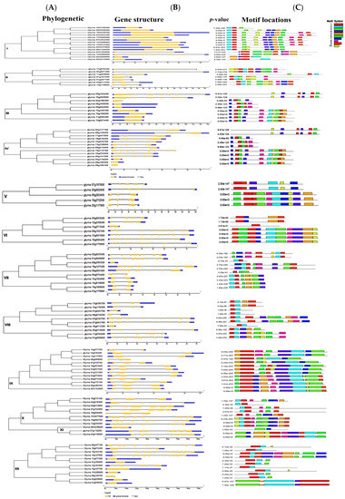 Genome-Wide Identification and Analysis of the Hsp40/J-Protein Family ...