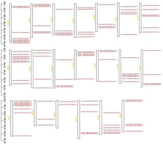 Genome-Wide Identification and Analysis of the Hsp40/J-Protein Family ...