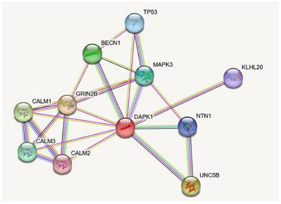 The Role of Death-Associated Protein Kinase-1 in Cell Homeostasis ...