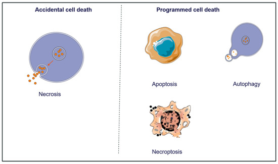 The Role of Death-Associated Protein Kinase-1 in Cell Homeostasis ...