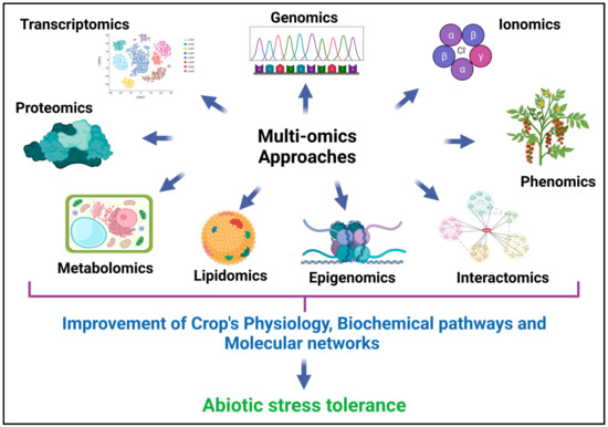 Genes | Free Full-Text | Multi-Omics Pipeline and Omics-Integration Approach to Decipher Plant’s ...