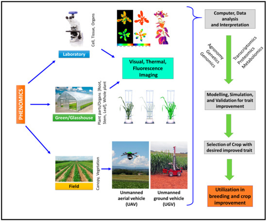 Genes | Free Full-Text | Multi-Omics Pipeline and Omics-Integration ...