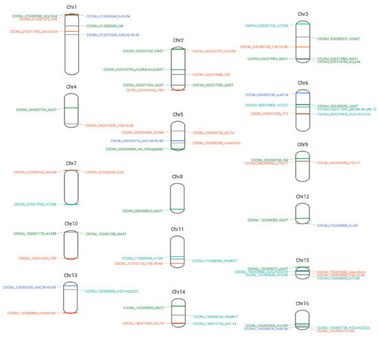 A Preliminary Survey of Transfer RNA Modifications and Modifying ...