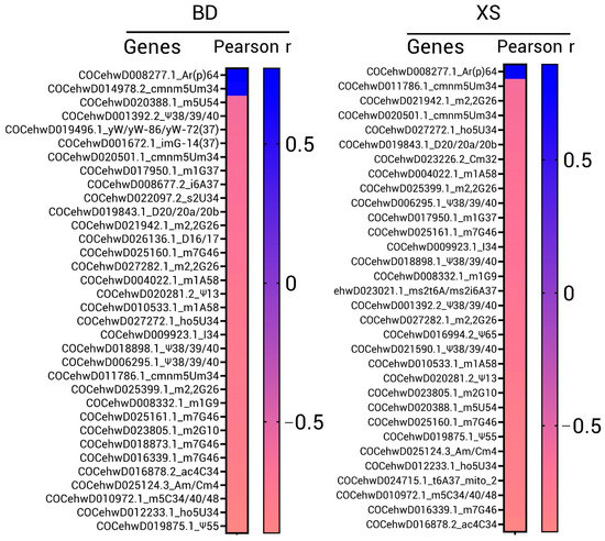 A Preliminary Survey of Transfer RNA Modifications and Modifying ...