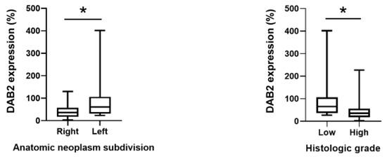 Expression Pattern of DAB Adaptor Protein 2 in Left- and Right-Side ...