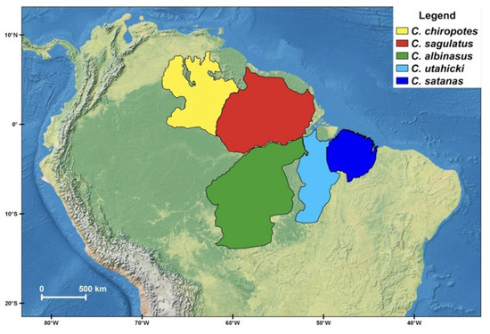 Molecular Evidence Supports Five Lineages within Chiropotes ...
