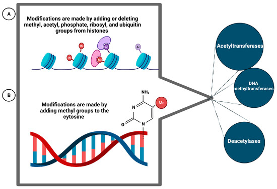 Genetic Basis of Inflammatory Demyelinating Diseases of the Central ...