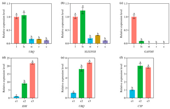 Genes Free Full Text Selection Of Reliable Reference Genes For Gene