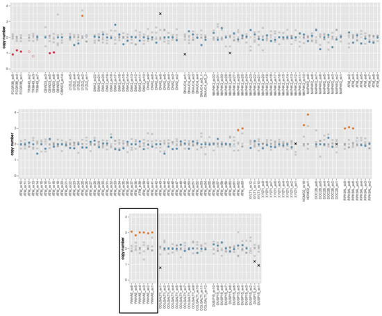 A Case of Class I 17p13.3 Microduplication Syndrome with Unilateral ...