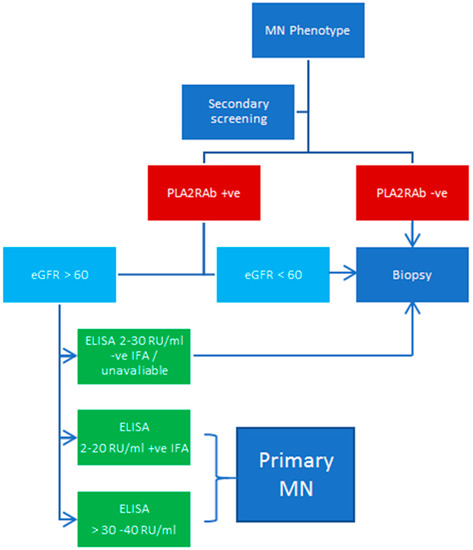The Role of PLA2R in Primary Membranous Nephropathy: Do We Still Need a Kidney Biopsy?