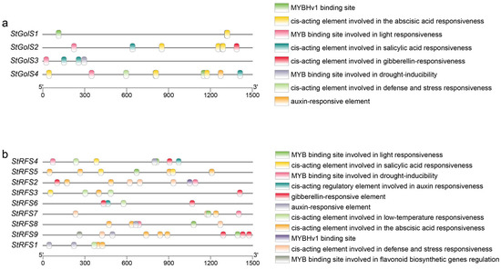Systematic Analysis of Galactinol Synthase and Raffinose Synthase Gene ...