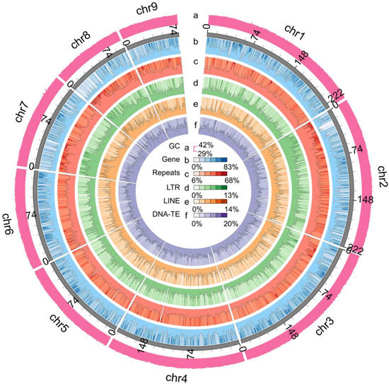 A High-Quality Chromosome-Level Genome Assembly of a Snail ...