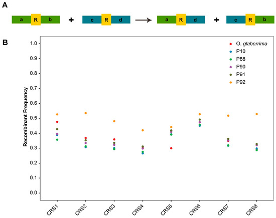 Variation in Rice Plastid Genomes in Wide Crossing Reveals Dynamic ...