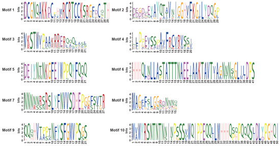 Characterization and Potential Function Analysis of the SRS Gene Family ...