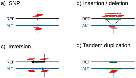 k-mer-Based Genome-Wide Association Studies in Plants: Advances, Challenges, and Perspectives