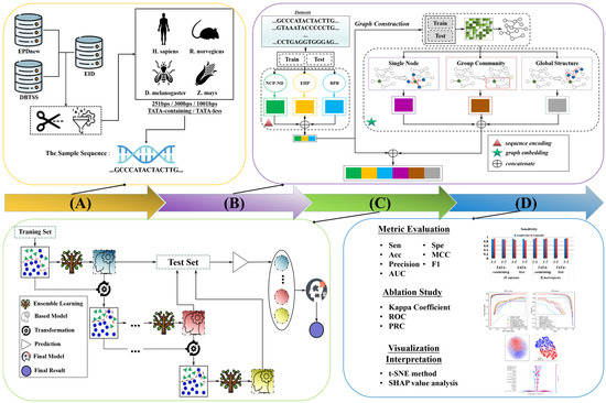 PromGER: Promoter Prediction Based on Graph Embedding and Ensemble ...
