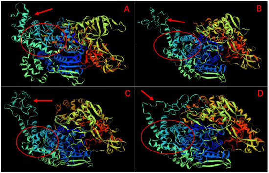 Mn-XRN1 Has an Inhibitory Effect on Ovarian Reproduction in ...