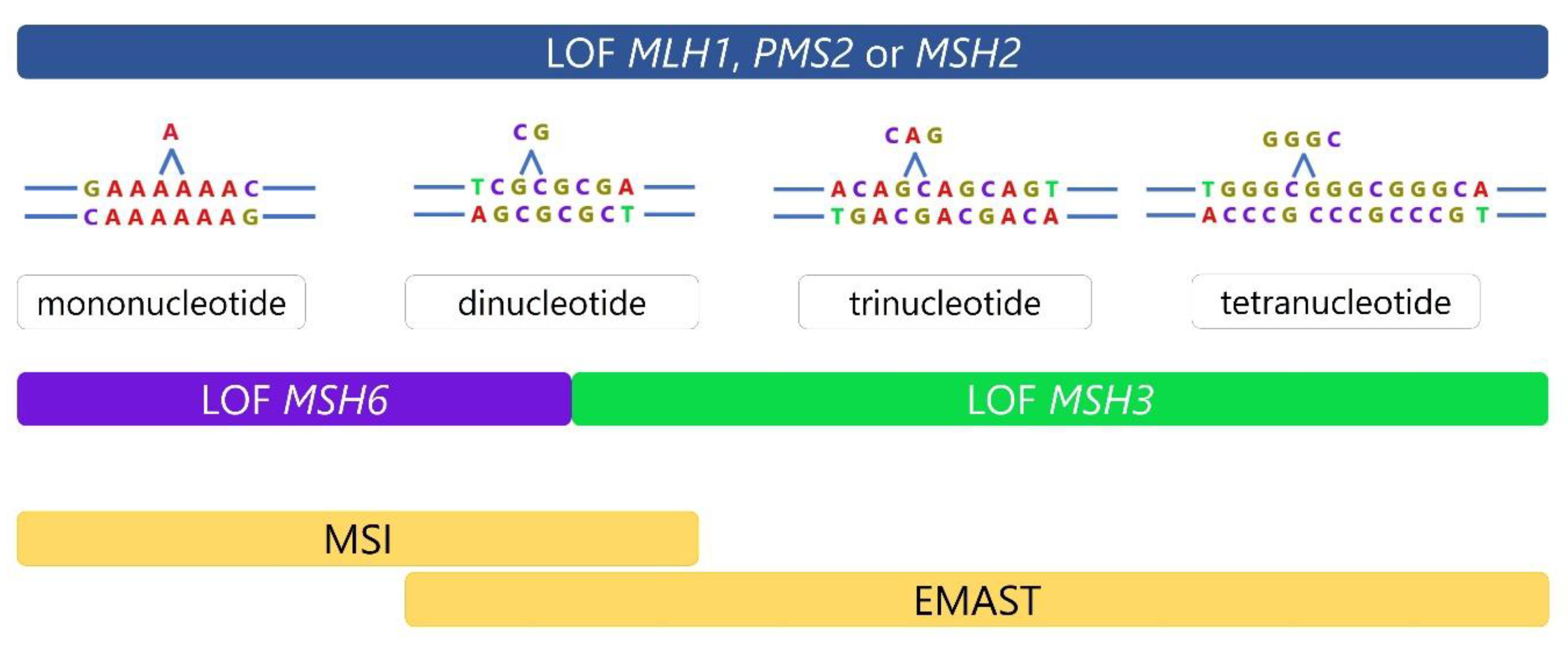 EMAST Type of Microsatellite Instability—A Distinct Entity or Blurred ...